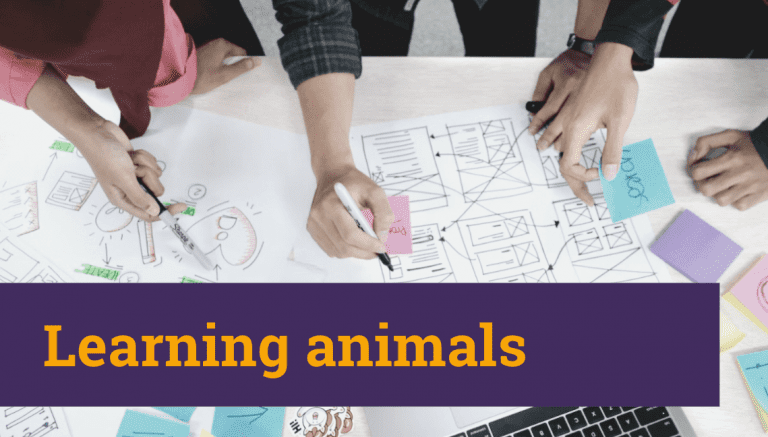 Learning animals - TalentFY